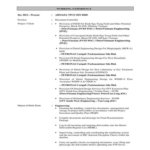 Working Experience | PDF