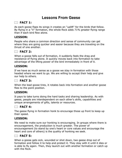 Leadership Lessons From Geese | PPT | Birdwatching | Hobbies & Interests