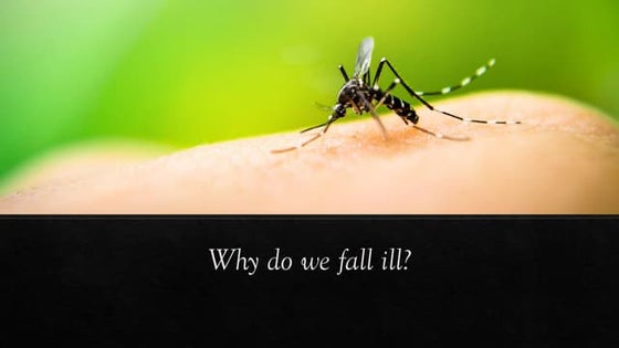 Stages of infectious disease | DOCX