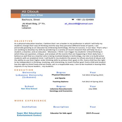 Ali Dbouk CV | PDF