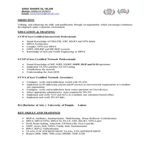 SANA Shamus-new CV | PDF