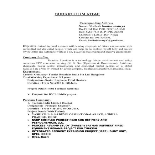shailesh Resume | DOC