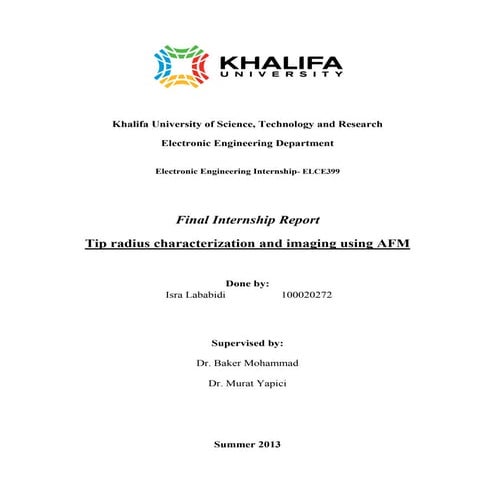 Final Internship Report | PDF