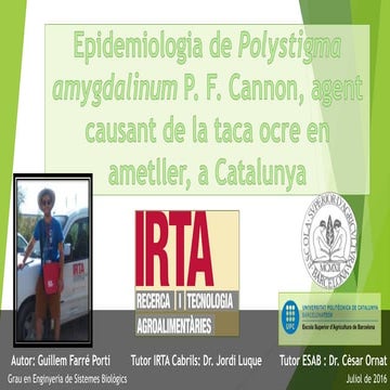 TFG Guillem Farré (C.Ornat i J.Luque)(1) | PPTX