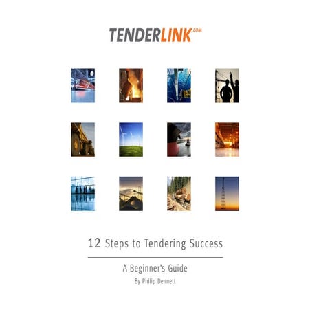 12 Steps to Tendering Success | PDF