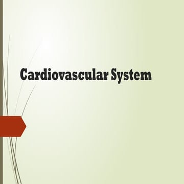 Comparative anatomy circulatory system | PPT