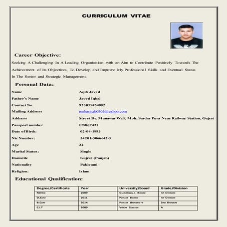 AQIB CV | DOCX | Technology & Computing