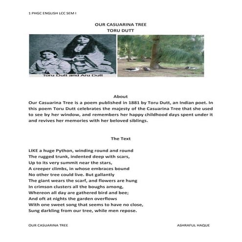 615064Aour casuarina tree.pdf