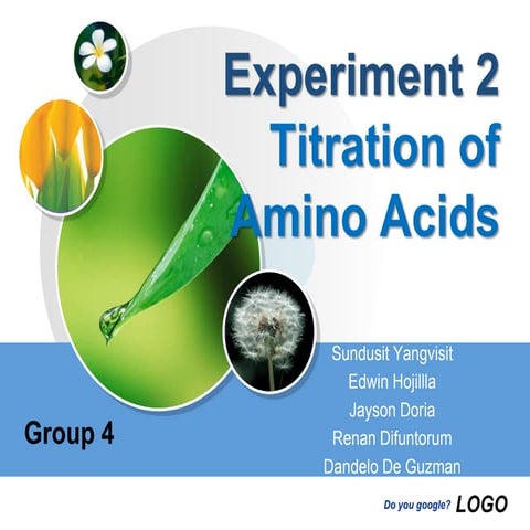 6Experiment164Experiment8319-Experiment-3.ppt