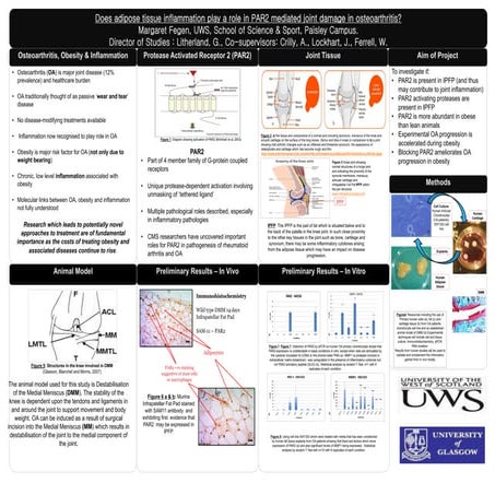 2nd year poster_MFamm | PPT