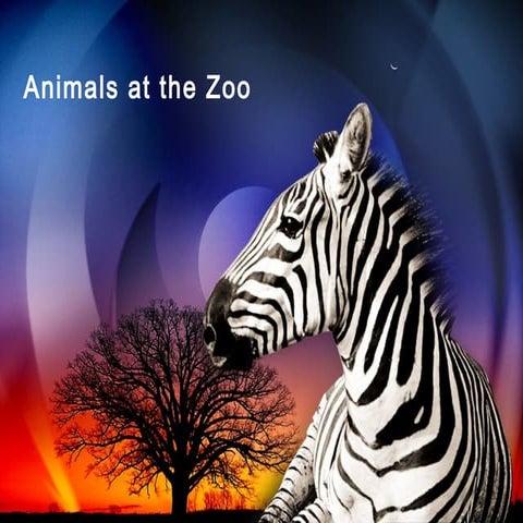 Animals at the zoo | PPS