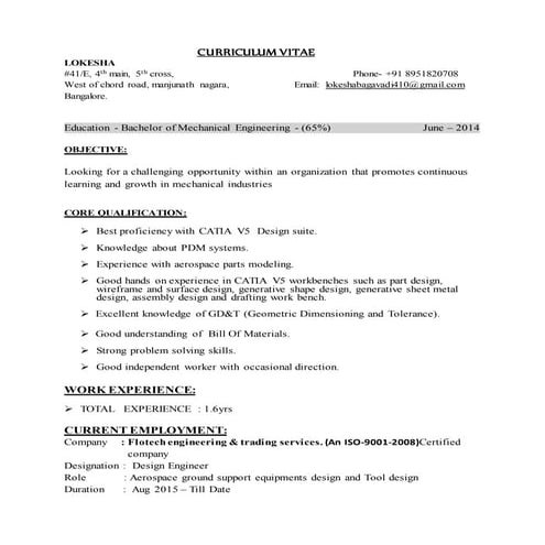 Unal_Elbeyli_BusinessDevelopment_CV | PDF