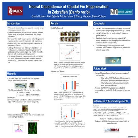 Neural dependence poster | PDF