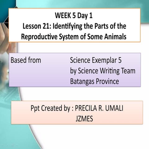 619048128-PPT-SCI-Q2WK5-DAY-1-5-1.pptx111 | PPT