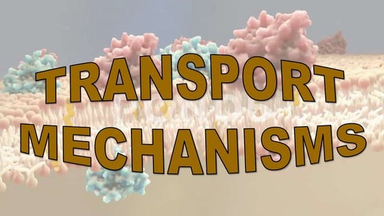 Membrane Transport System | PPT