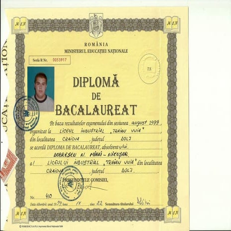 DIPLOMA INGINER_FATA | PDF