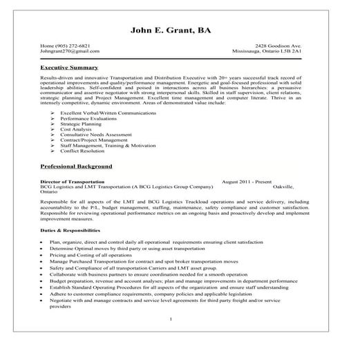 Ariel Brito Resumé | DOCX