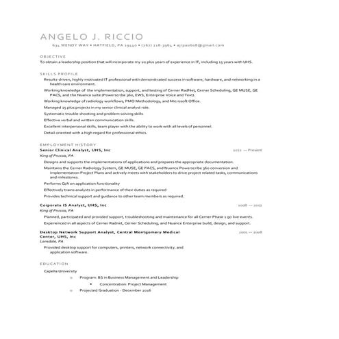 Riccio Angelo Resume 08 2015 | DOC | Business | Business and Finance