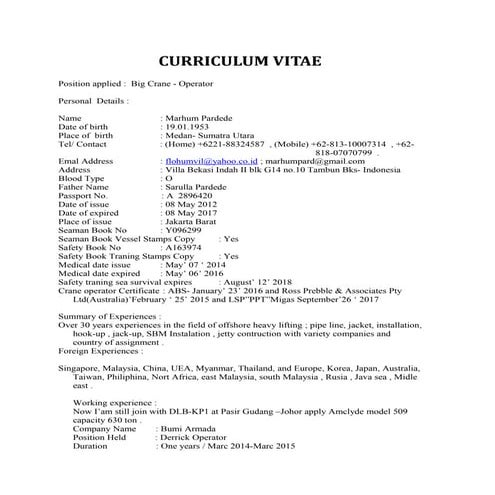 CURRICULUM VITAE Michael - Copy | DOC