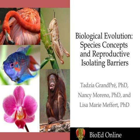 bio435_660_chap15_pt1.ppt HHFHF FJFJF FJFJFJ | PPT