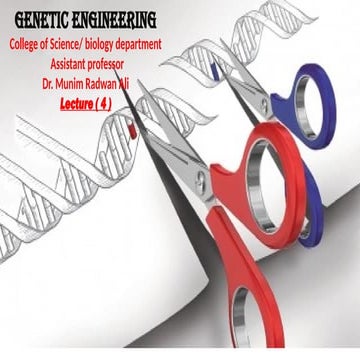 Genetic_Engineering_with_Enzyme's(Lecture-4).pptx