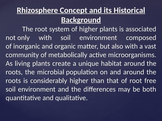 Rhizosphere | PPTX | Gardening | Home & Garden