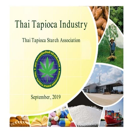 Thai Tapioca Industry - Introduction to TTSA | PDF