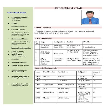CV Formate (Dinesh) | PDF