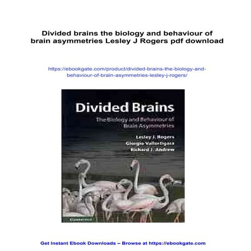 Divided brains the biology and behaviour of brain asymmetries Lesley J ...