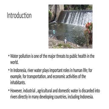 Introduction to investagation of Kali Code water stream quality.pptx