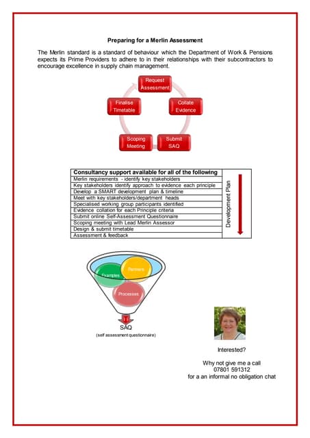 Management Review Format | PDF
