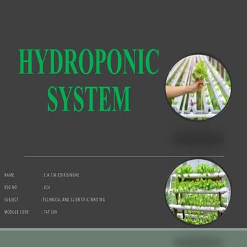 Hydroponic System ppt | PPTX