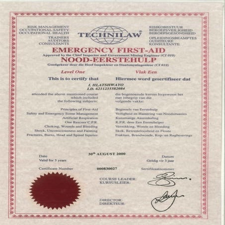 Emergency First Aid Level One | PDF