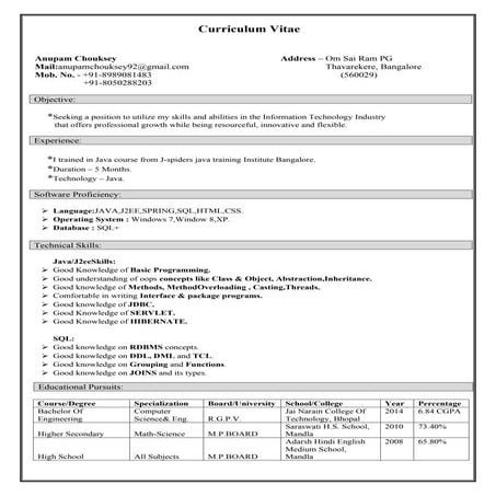 Nisha Salve-Resume | PDF