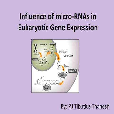 Influence of micro-RNAs in Eukaryotic Gene Expression | PPT