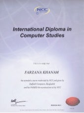 Diploma In computer Studies