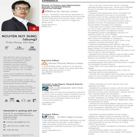 Cv Dennis Zijlmans2010 | PDF