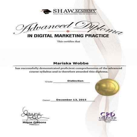 diploma Digital Marketing | PDF