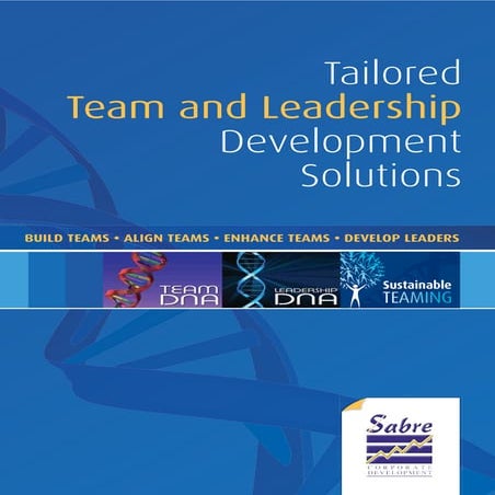 Team performance model - Drexler and Sibbet | PDF