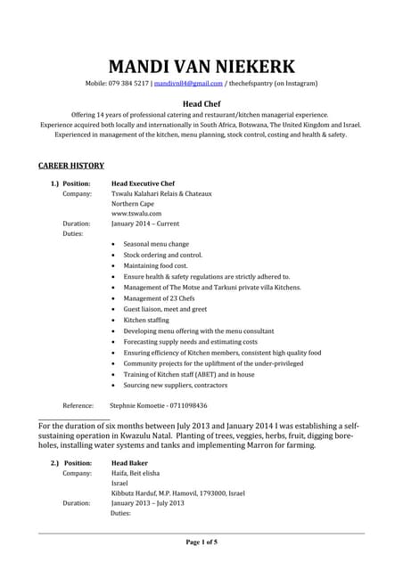 Vladimir Brkusanin-CV | PDF