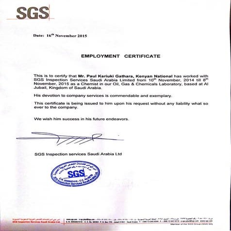 SGS Recommendation | PDF