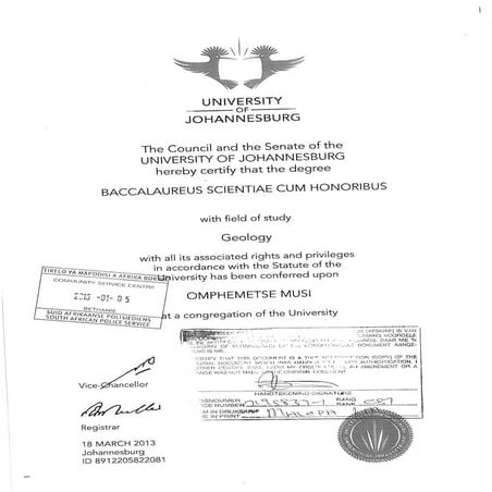 BSC honours degree | PDF