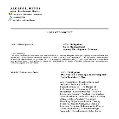 Mario-Resume-4 | DOC
