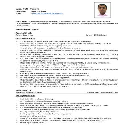 Lucas Felix Pereira - CV | DOCX