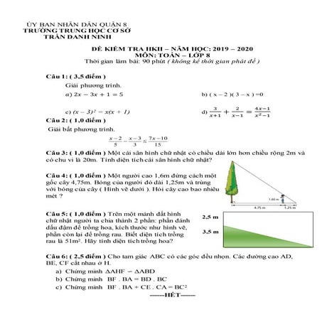 Đề Thi HK2 Toán 8 - THCS Trần Danh Ninh | DOCX