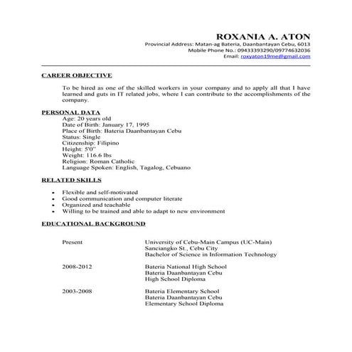 Steve Bohlman resume 2014 | DOCX