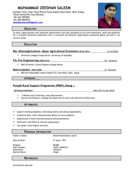 Cv Of Muhammad Saleem | DOC