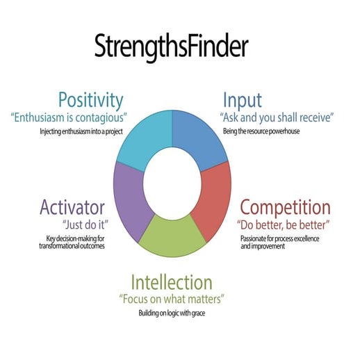Strengthsfinder | PDF