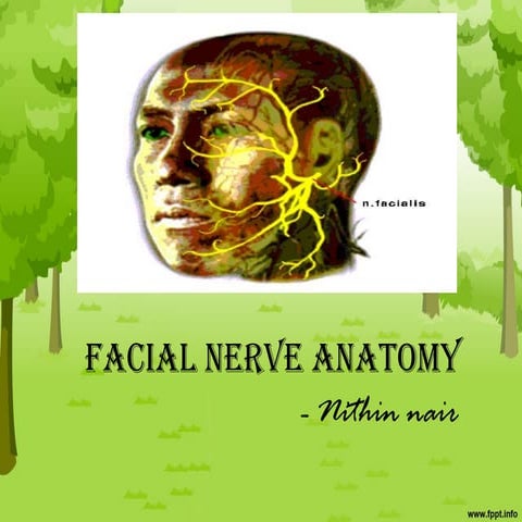 Anatomy of facial nerve | PPT