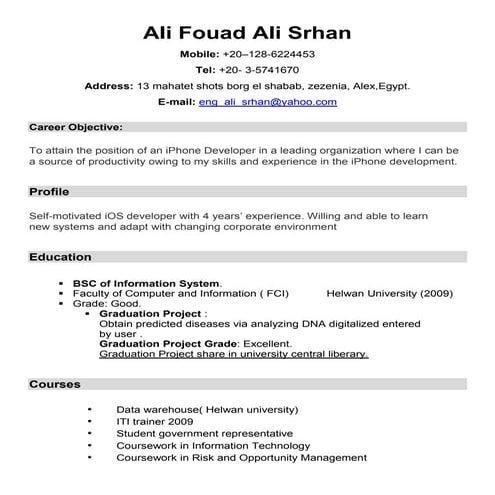 Ali_Fouad_Srhan_cv_updated | PDF